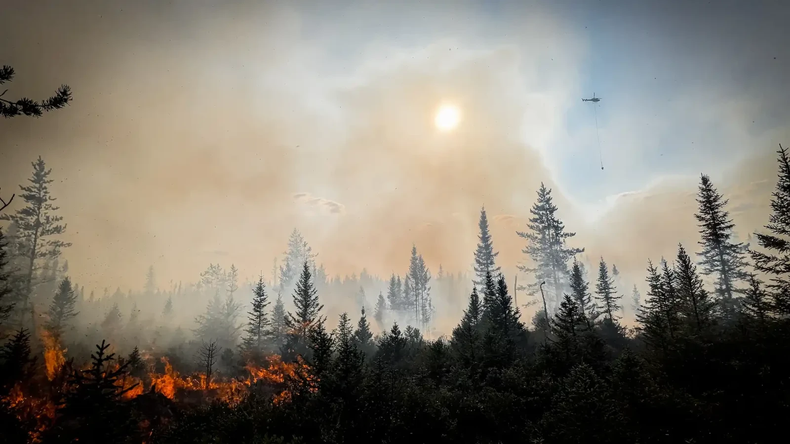 Heliops Magazine - KiaKaha Media Ltd - Coping with Extremes - The 2023 ...