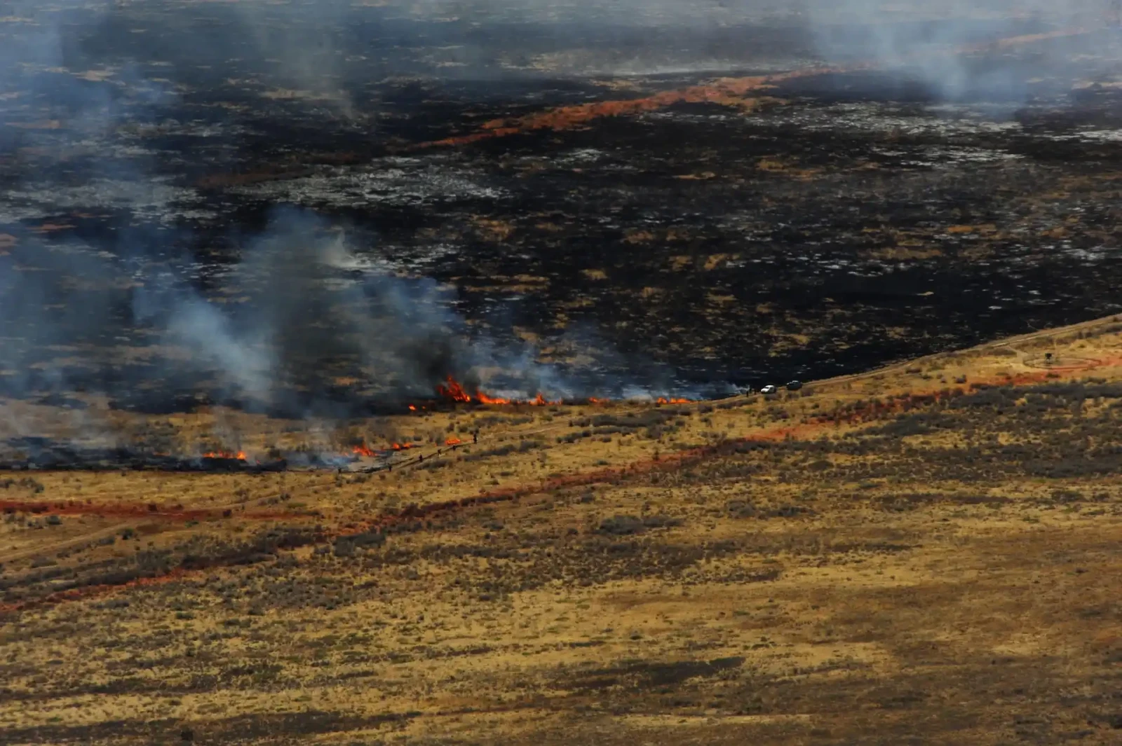 Heliops Magazine - KiaKaha Media Ltd - Aisles Introduces AI-Powered ...