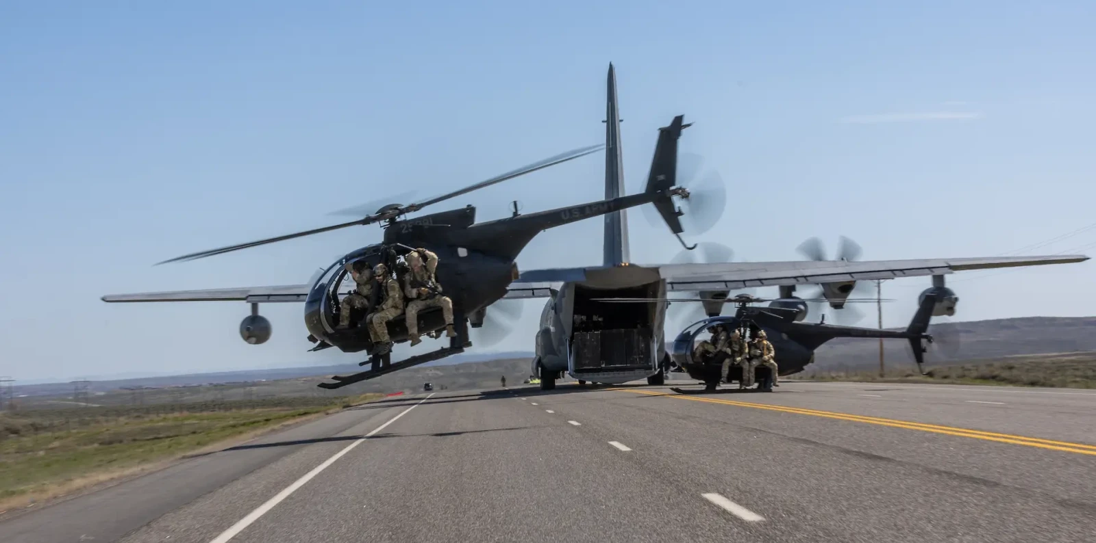 Heliops Magazine - KiaKaha Media Ltd - Long Legs for Little Birds ...