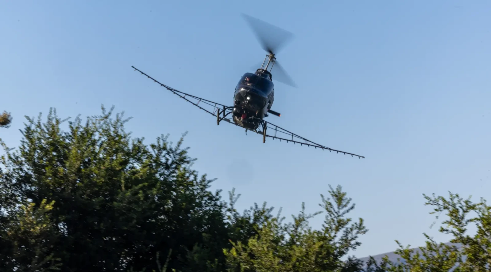 Heliops Magazine - KiaKaha Media Ltd - Californian Bug Busters - Aspen ...